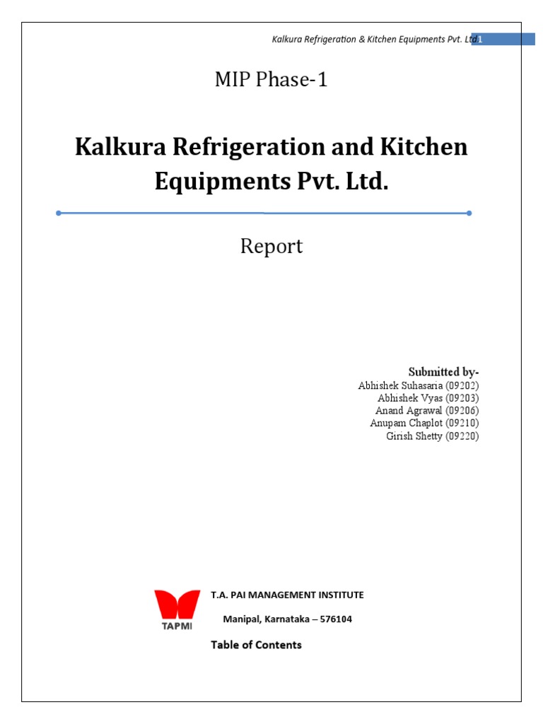 Kalkura MIP-1 Report | PDF | Computer Aided Design | Business