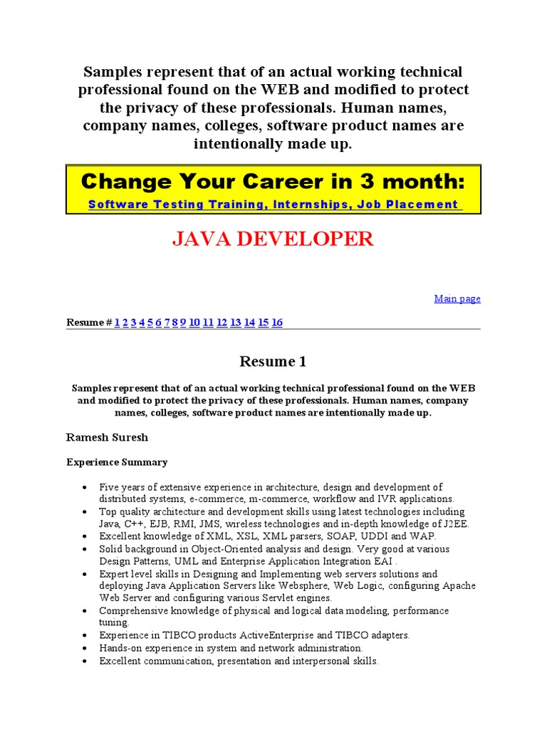 Resumes Eg | PDF | Java (Programming Language) | Application Server