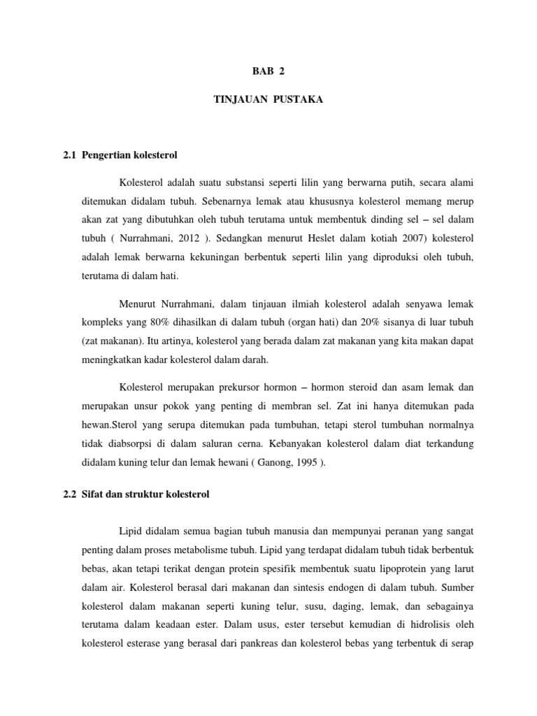 Bab 2 Kti Kolesterol | PDF
