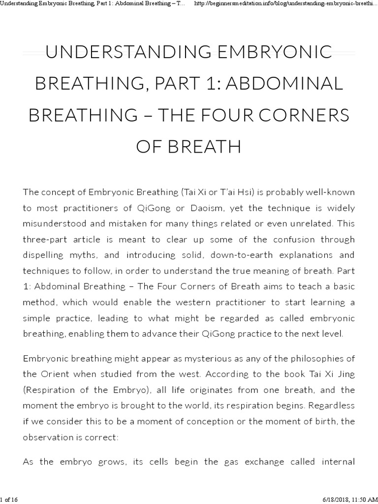 Understanding Embryonic Breathing, Part 1 - Abdominal Breathing - The ...