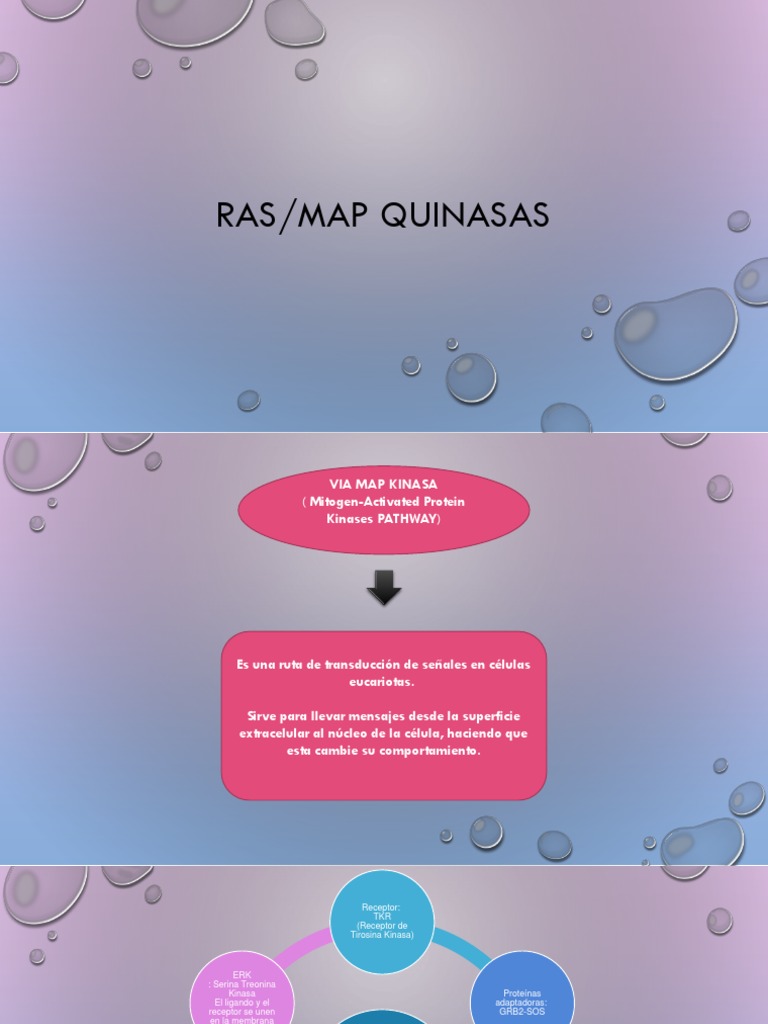 Ras Map | PDF | Proteína quinasa activada por mitógeno | Receptor ...