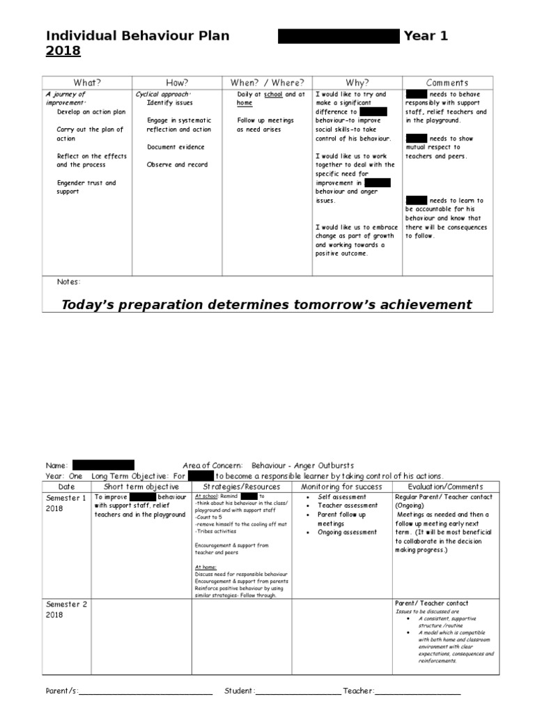 Individual Behaviour Plan Zepplin Mcswain Year 1 2018 | PDF ...
