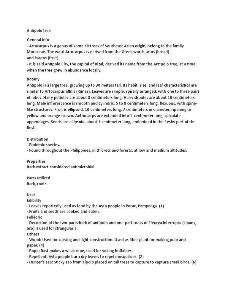 Timber Research Reference | PDF | Horticulture And Gardening | Plants