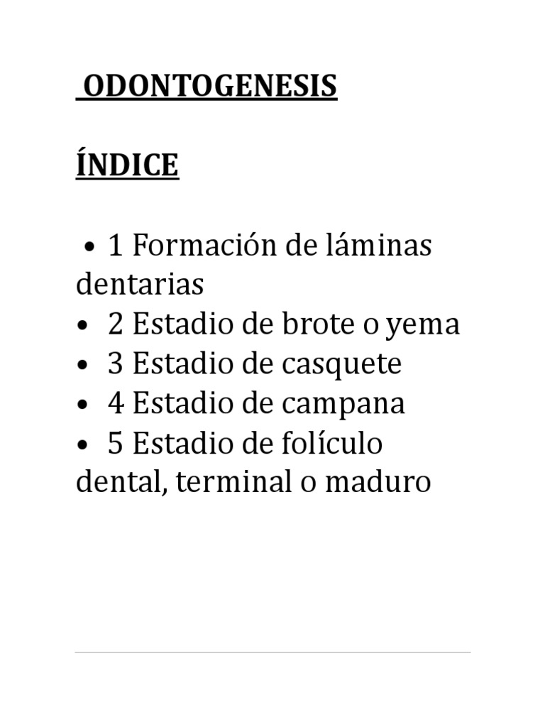 Odontogénesis | PDF | Diente | Boca