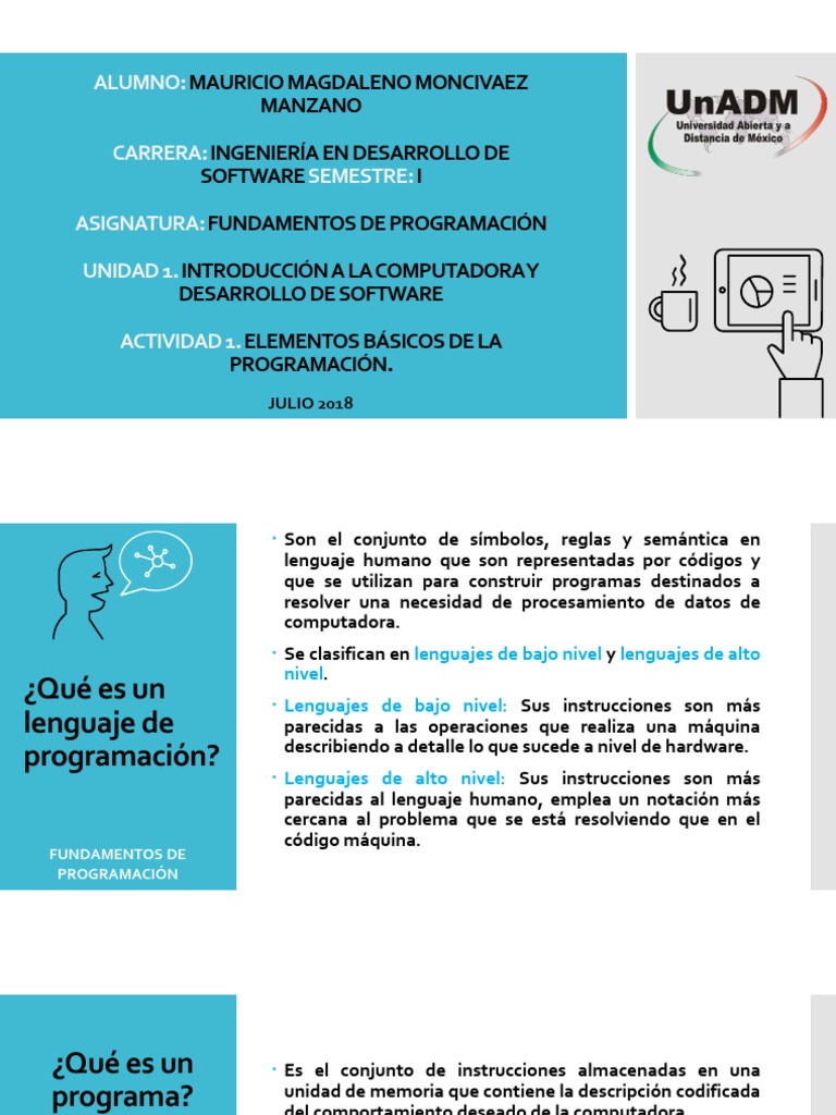 Actividad 1. Elementos Básicos de La Programación | PDF | Lenguaje de ...