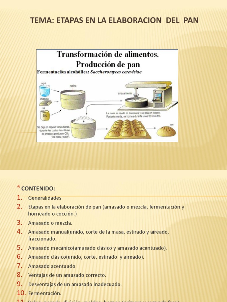 Etapas en La Elaboracion Del Pan | Panes | Fermentación