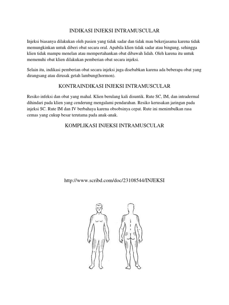 Indikasi Injeksi Intramuscular | PDF