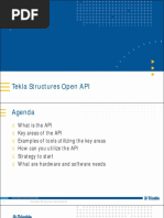 Tekla Open API | PDF | Application Programming Interface | Icon (Computing)