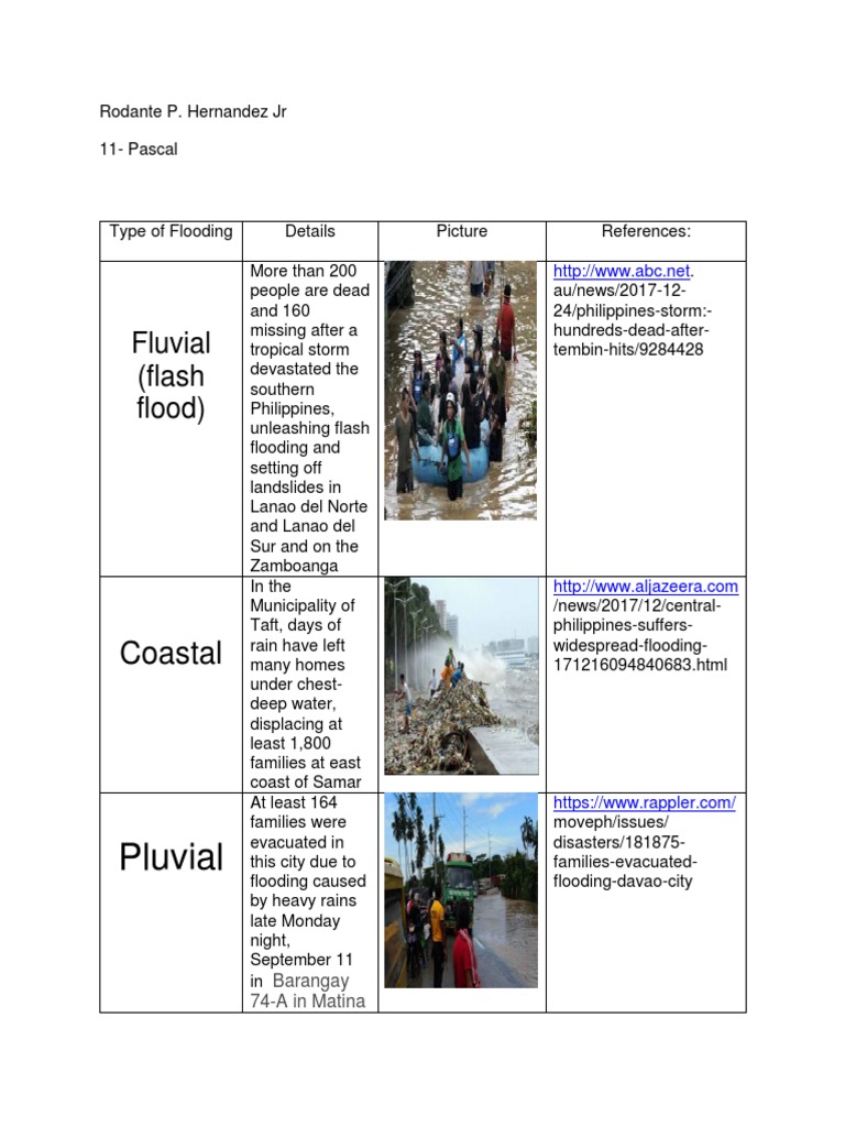An Analysis of Different Types of Flooding in the Philippines: Fluvial ...