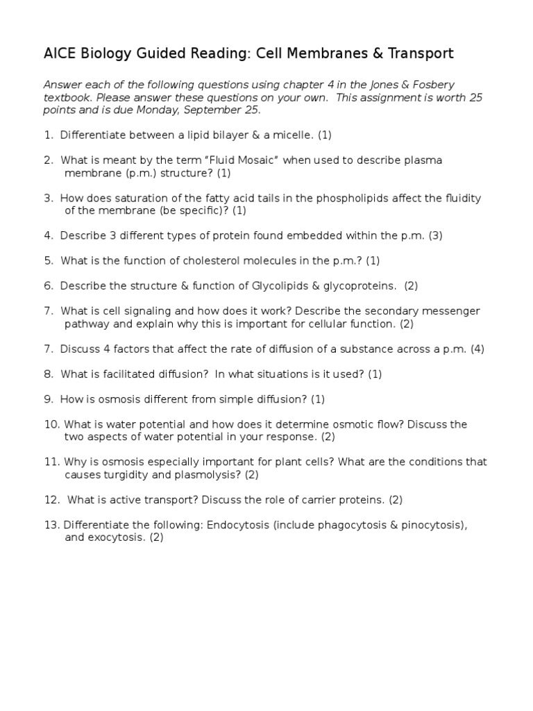 AICE Biology Guided Reading: Cell Membranes & Transport | PDF