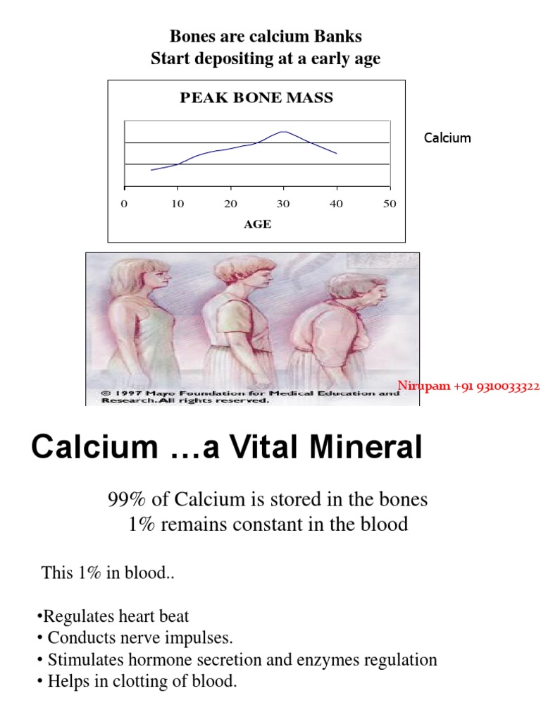 Bone Health Summary | PDF | Calcium | Bone