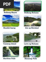 Observation of Mongo | PDF