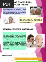 Infografia Adultez | PDF