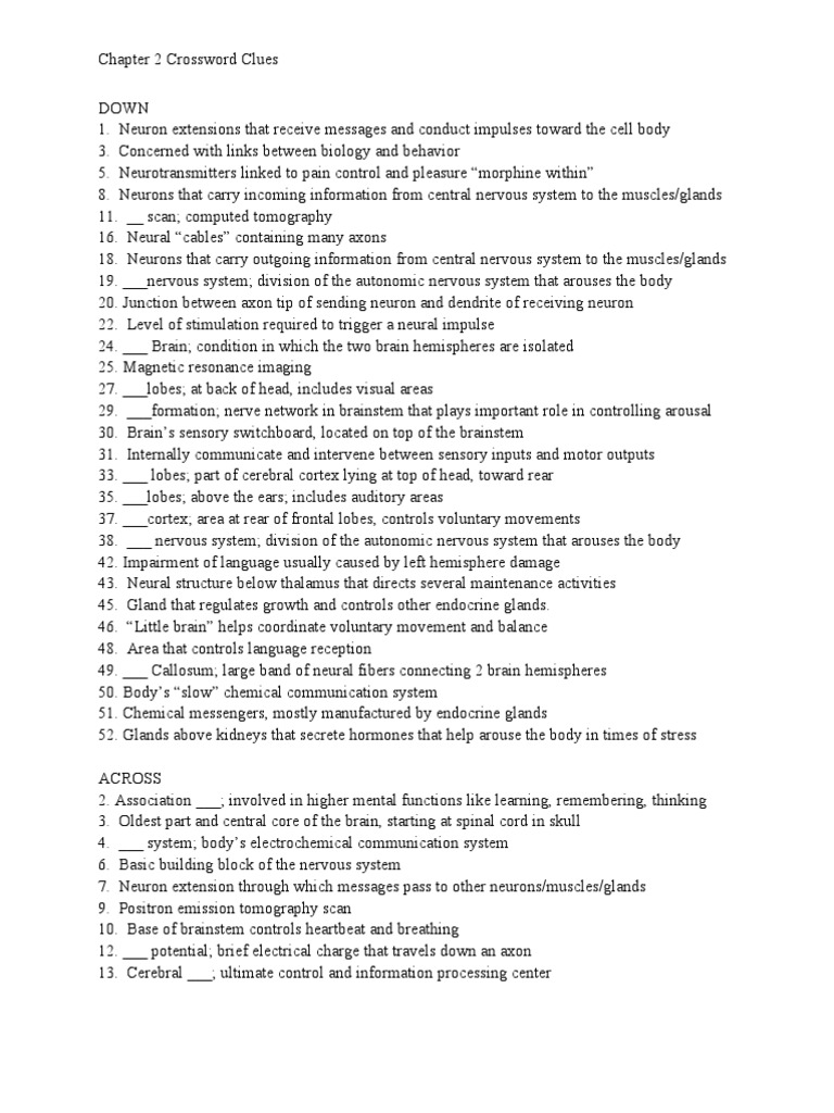 Myers - AP Psych Chapter 2 Crossword | PDF | Nervous System | Neuron