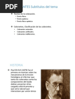 Colorantes Ácidos y Básicos en Histología | PDF | Técnicas de ...