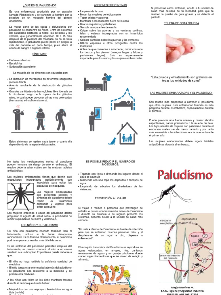 TRIPTICO PALUDISMO.pdf | Malaria | El embarazo