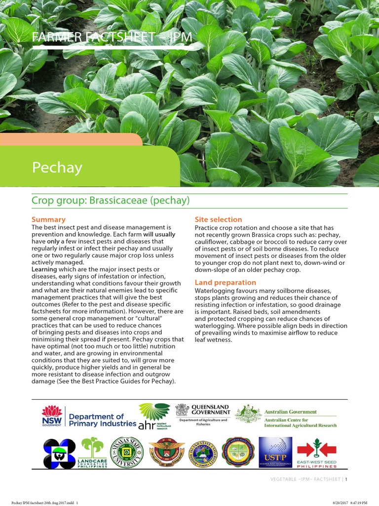 Pechay IPM Factsheet 20th Aug 2017 | PDF | Horticulture And Gardening ...