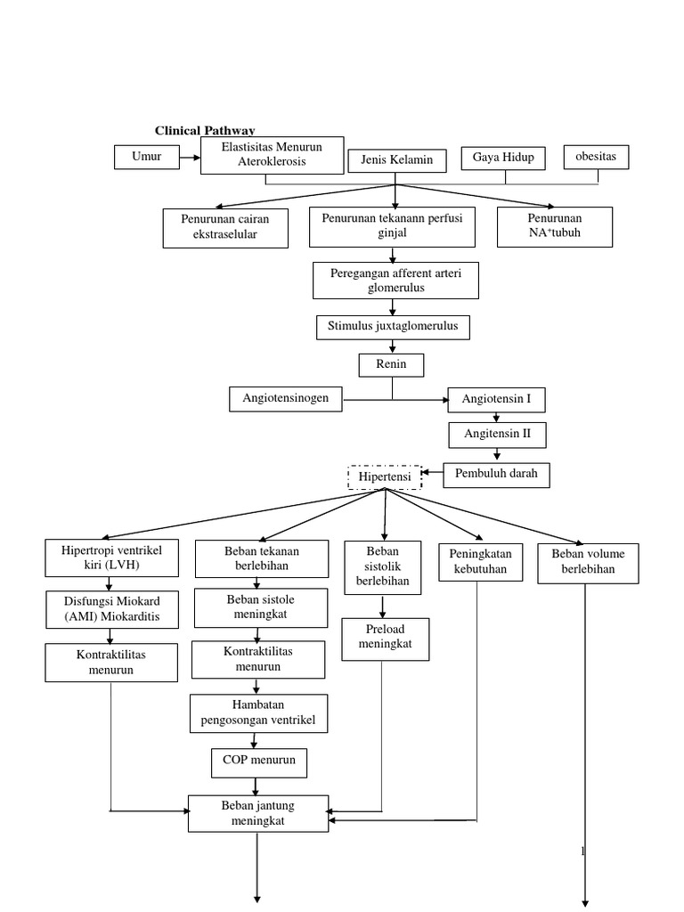 Clinical Pathway HHF | PDF