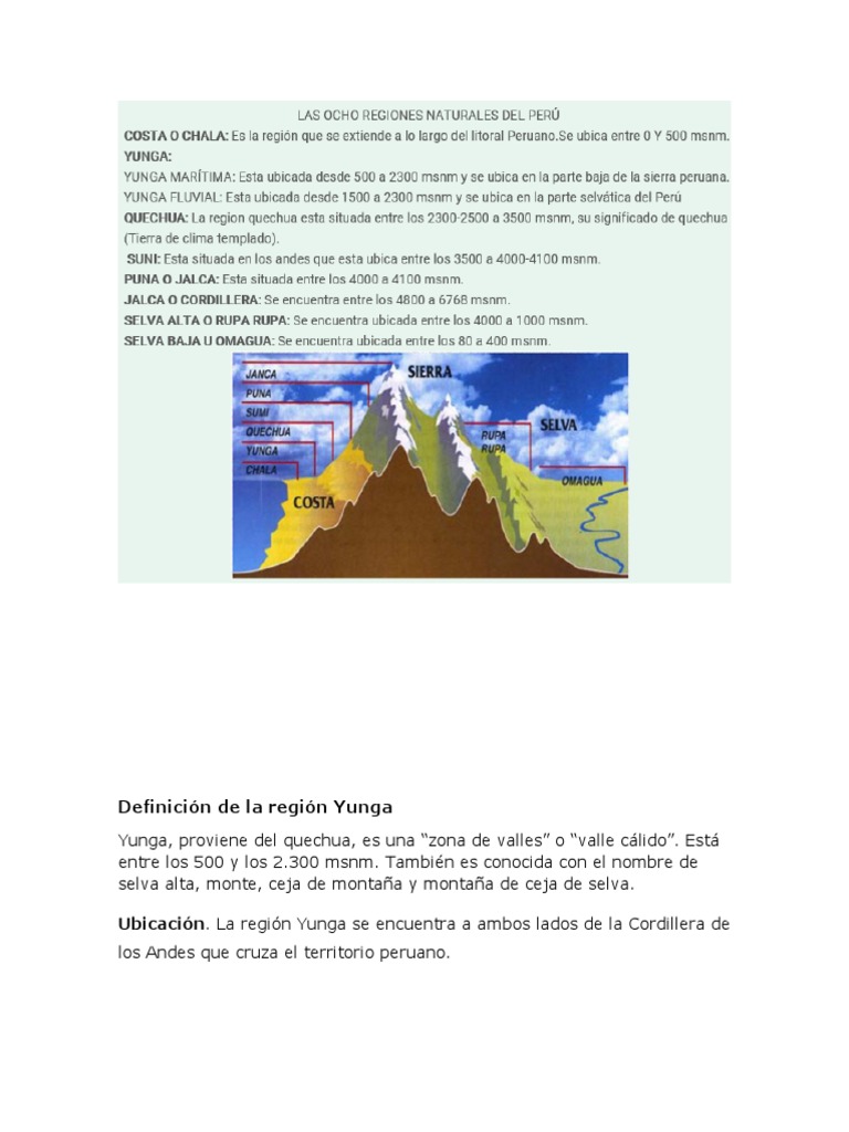 Definición de La Región Yunga | PDF | Agricultura | Plantas
