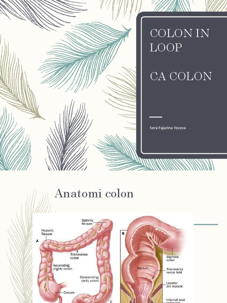 Colon in Loop | PDF