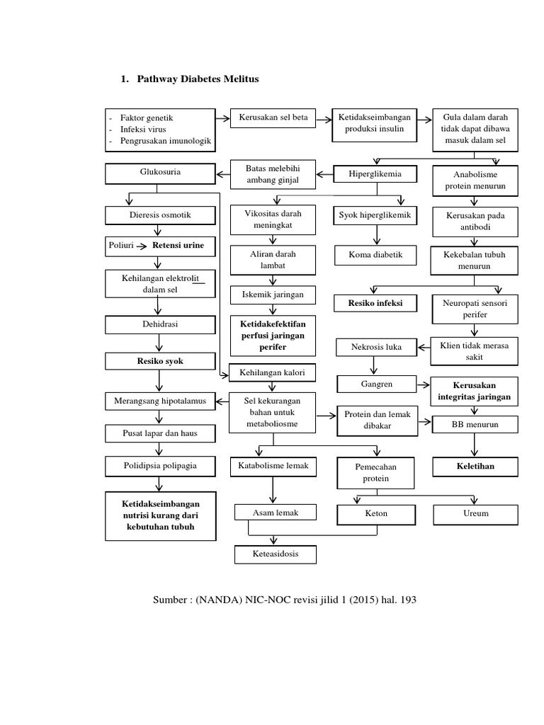 Pathway Diabetes Melitus | PDF