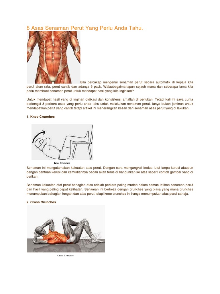 8 Asas Senaman Perut Yang Perlu Anda Tahu | PDF