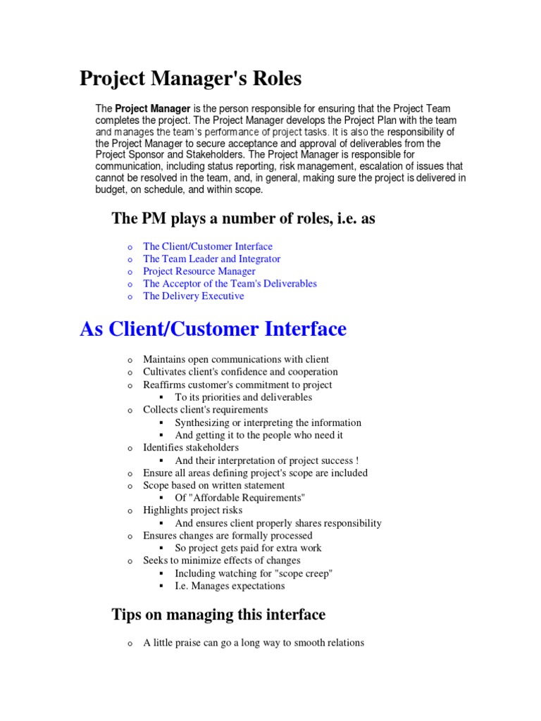 Project Manager Roles & Responsibilities | PDF | Project Management | Business