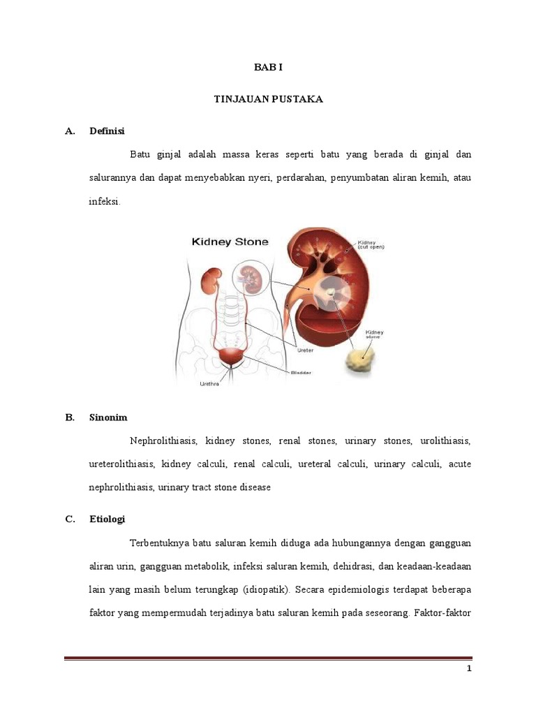 NEFROLITHIASIS | PDF