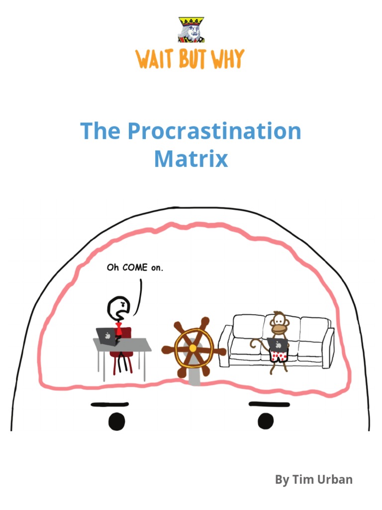 Procrastination Matrix | PDF | Procrastination | Professional Skills