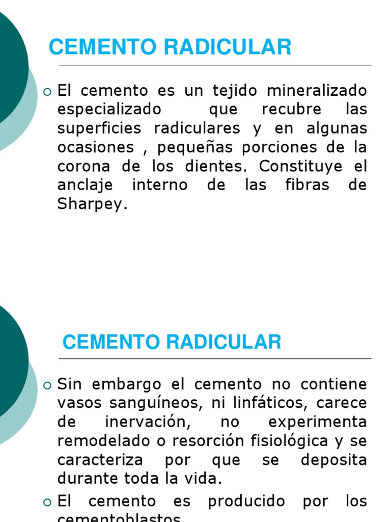 Cemento Radicular | PDF | Hueso | Anatomía