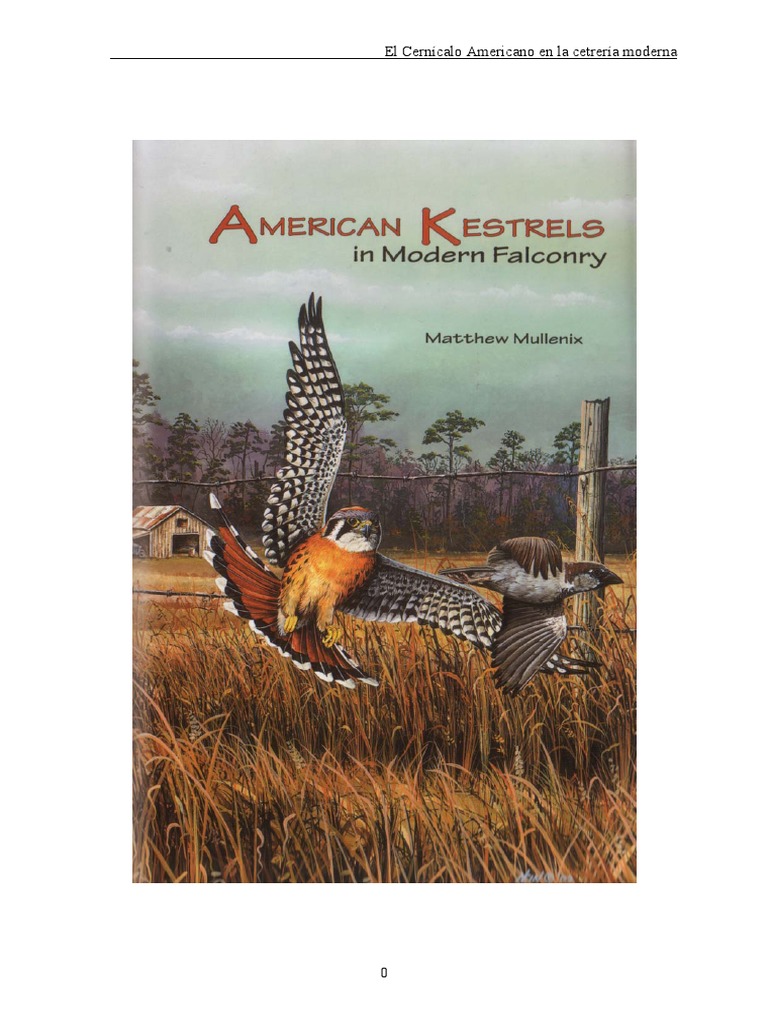 Matthew Mullenix - American Kestrels in Modern Falconry | PDF ...