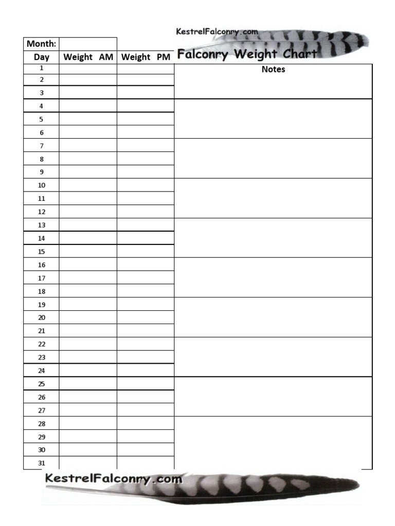 Falconry Weight Chart | PDF