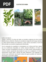 Taxonomía y Morfología de la Cebada | PDF | Cebada | Tallo de la planta