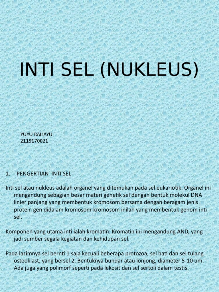 TUGAS PPT Inti Sel (Nukleus) - 1bk | PDF