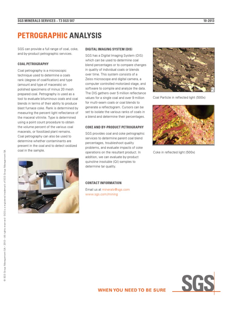 SGS MIN WA308 Coal Petrographic Analysis en 11 | PDF | Coke (Fuel) | Coal