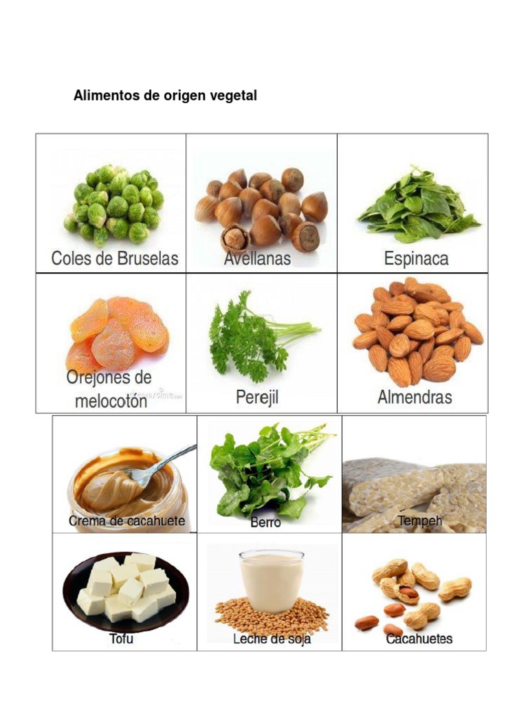 Alimentos de Origen Vegetal, Alimentos de Origen Animal | PDF | Salud y ...