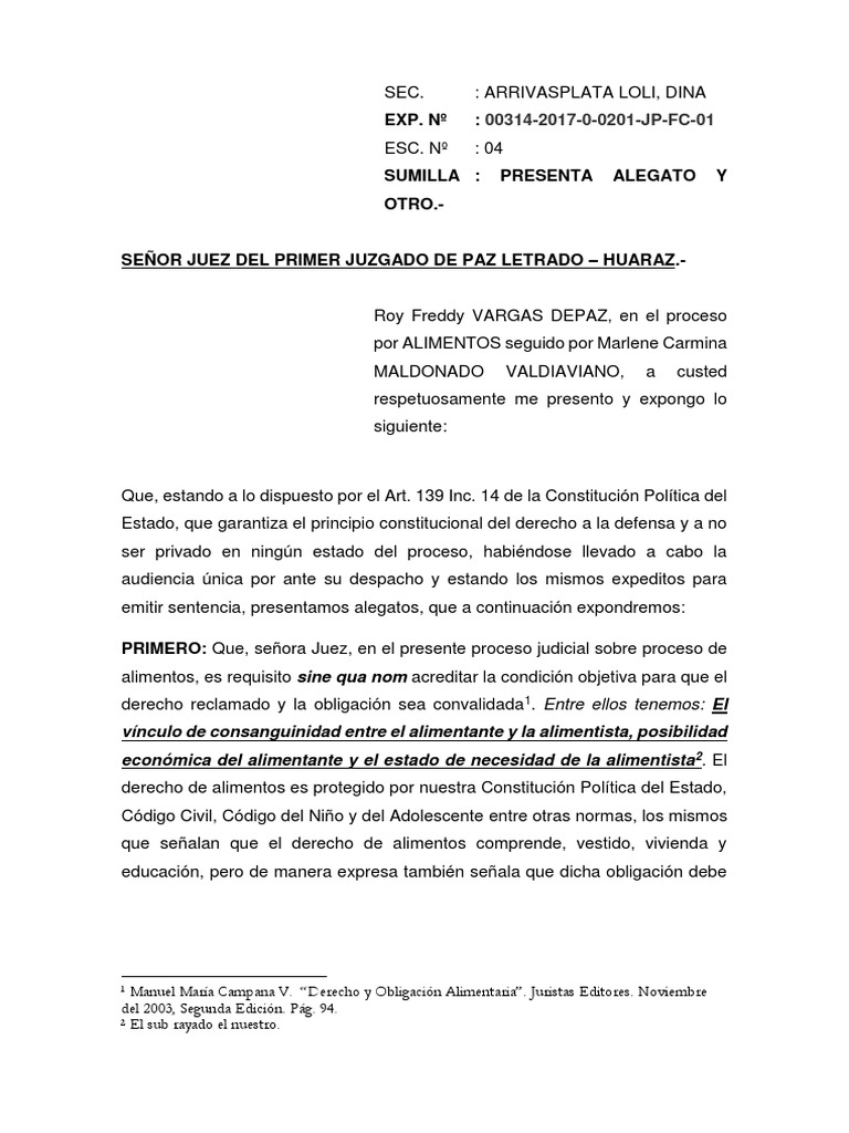 Alegatos en Proceso de Alimentos - Roy Vargas Depaz | PDF | Manutención ...