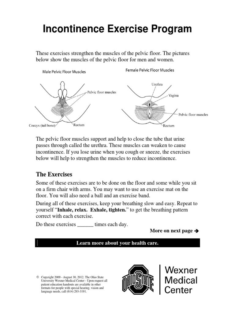 Incontinence Exer Prog | PDF | Urinary Incontinence | Breathing