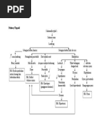 Pathway Febris | PDF