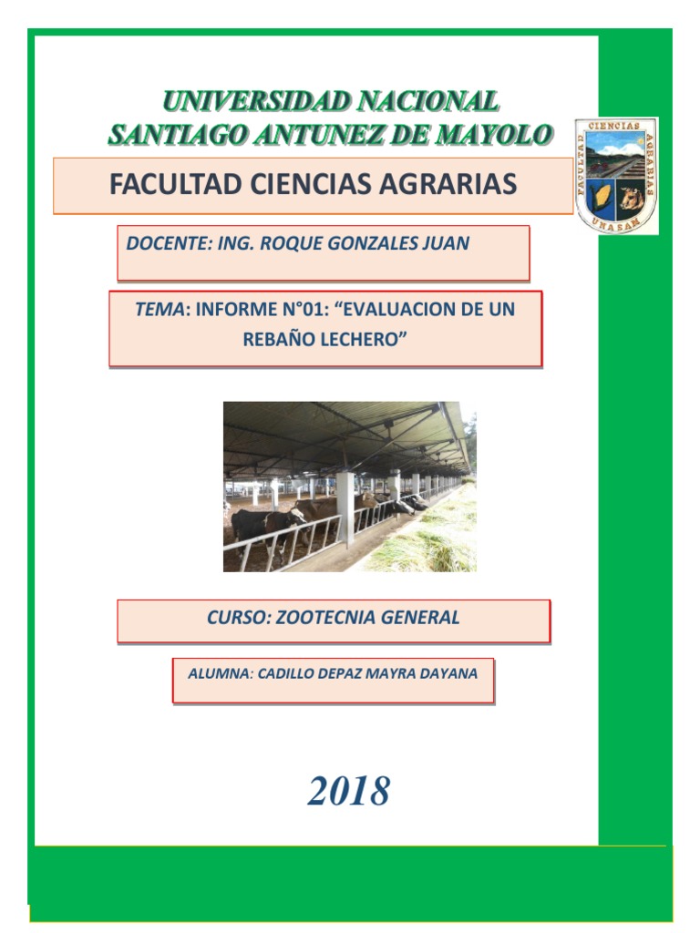 Evaluacion de Un Establo Lechero Inf 02 | PDF | Vacas | Proteínas