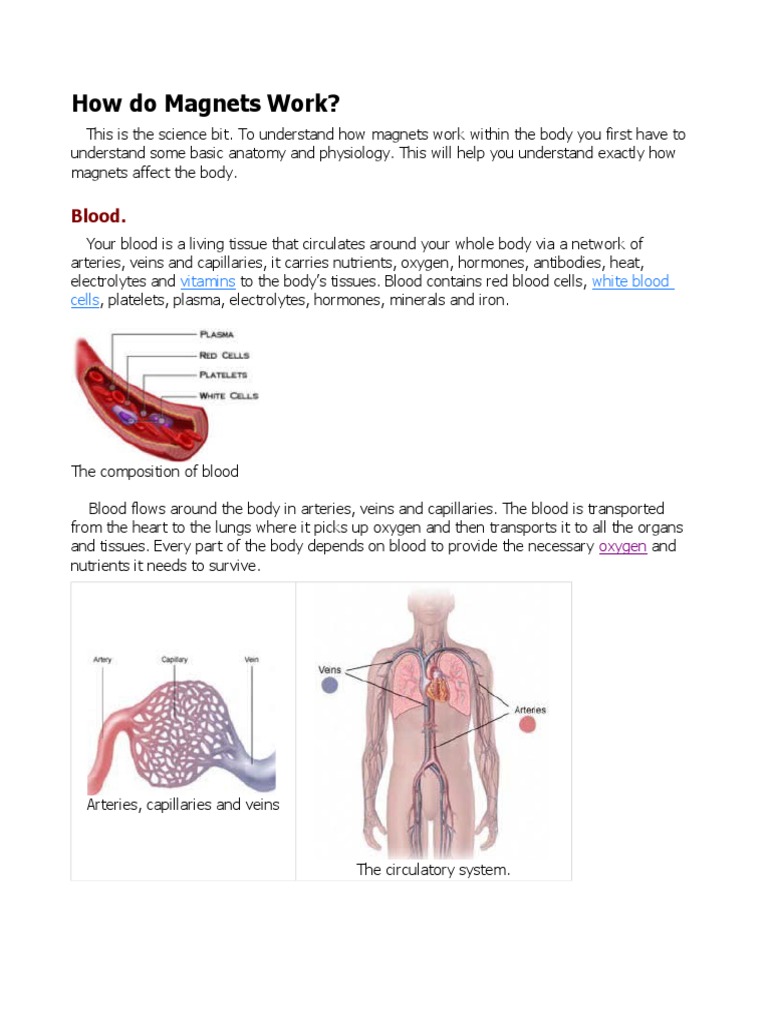 How Do Magnets Work | PDF | Inflammation | Blood