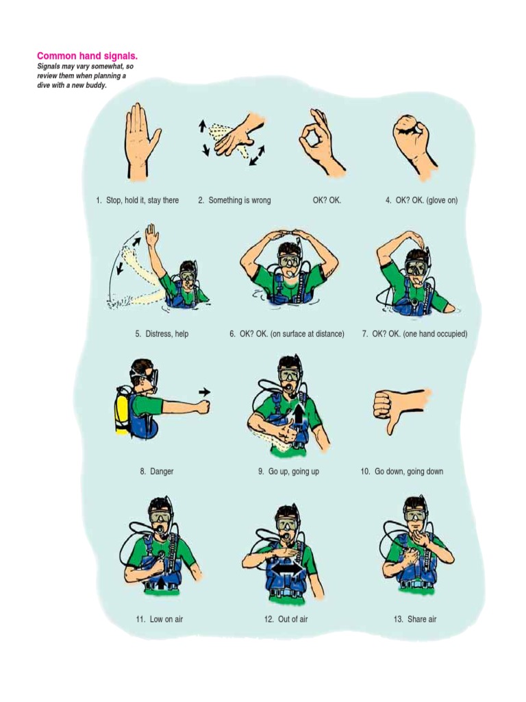 Essential Scuba Diving Hand Signals | PDF