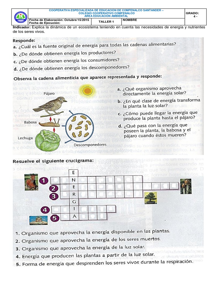 Cómo la energía y los nutrientes mantienen el equilibrio de un ...
