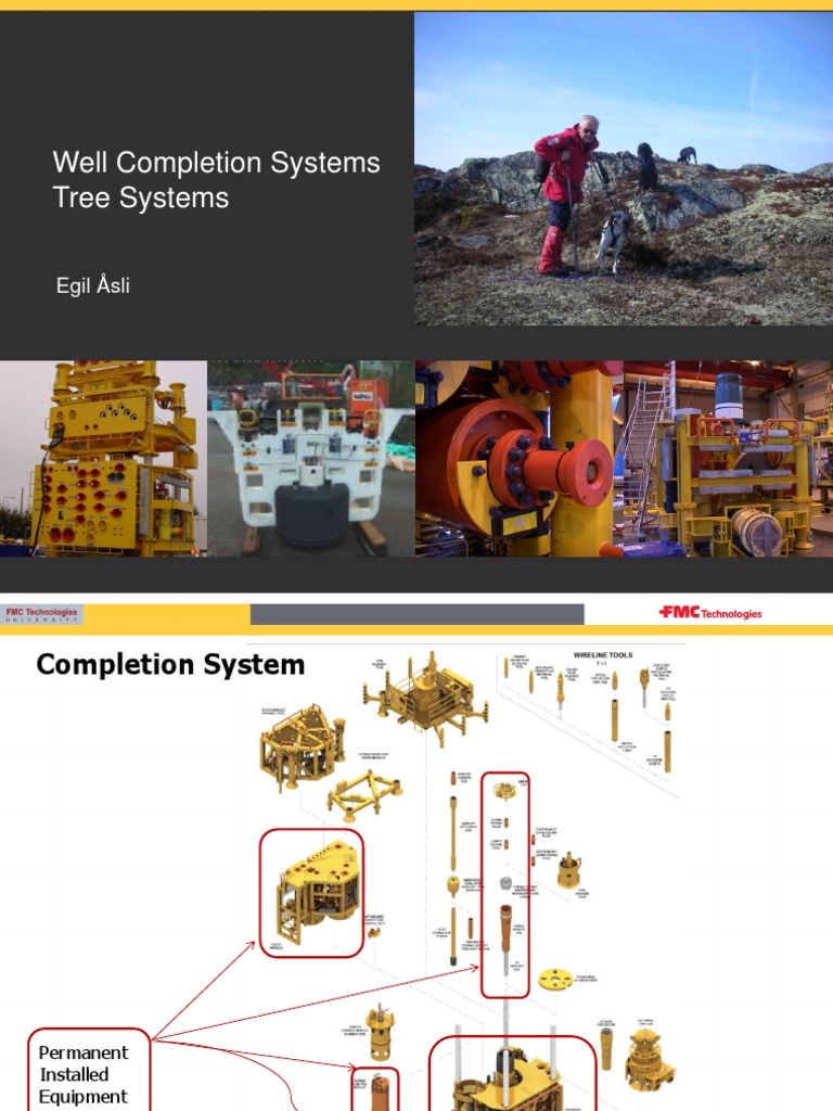 ST WCS 2015 XT Systems Eni | PDF | Valve | Electrical Connector
