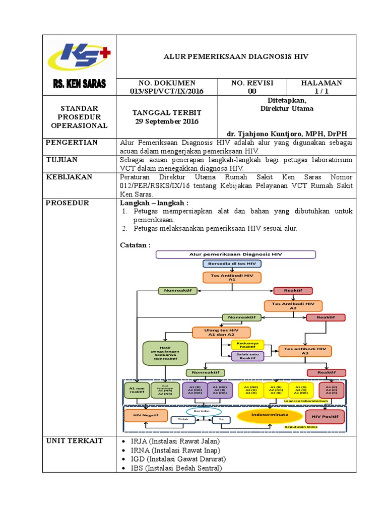 Alur Pemeriksaan Diagnosis Hiv | PDF