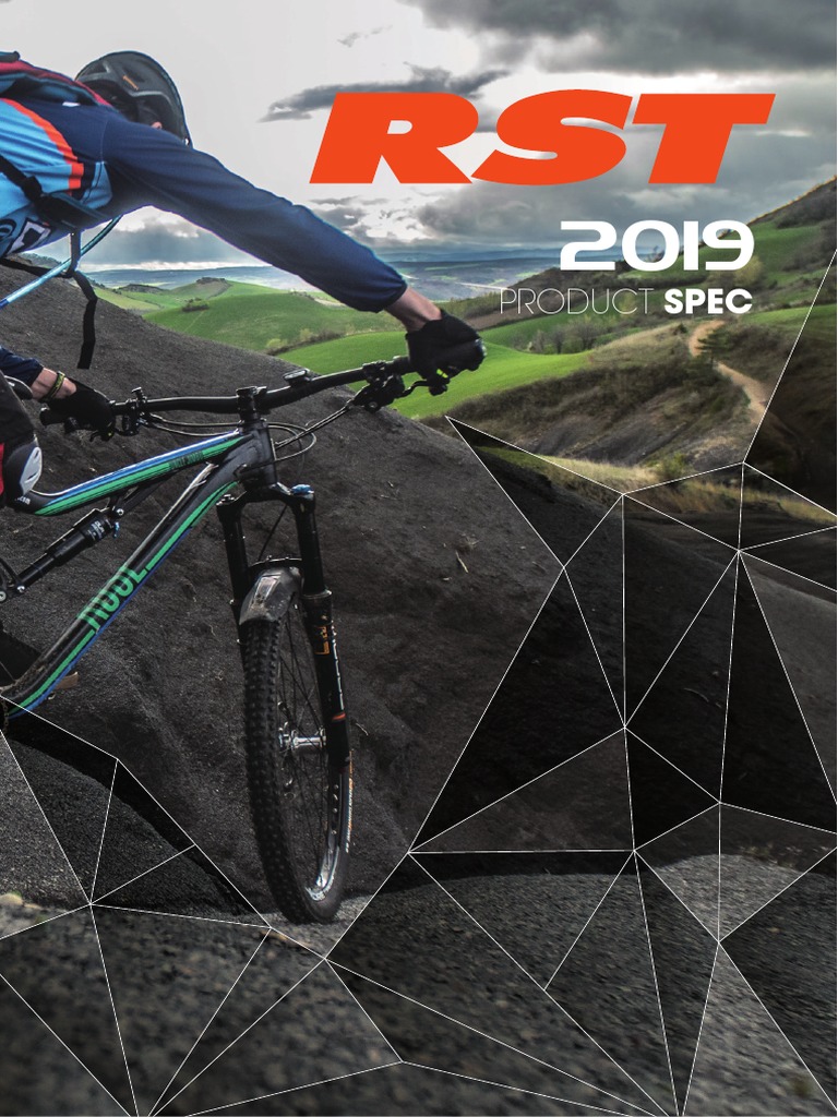 RST 2019 Fork Service Manual | PDF | Vehicle Parts | Vehicles