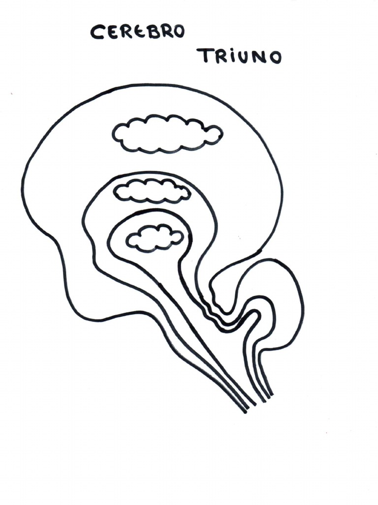 Cerebro Triuno PDF | PDF