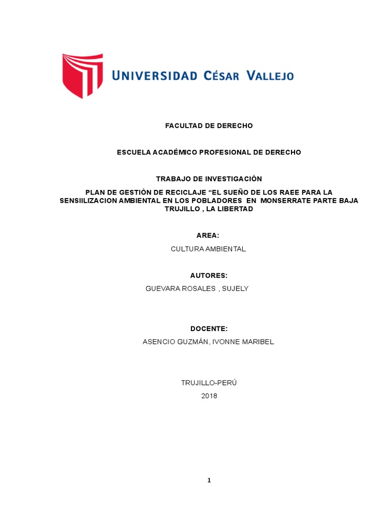 Informe RAEE SUJELYYYY | PDF | Reciclaje | Residuos