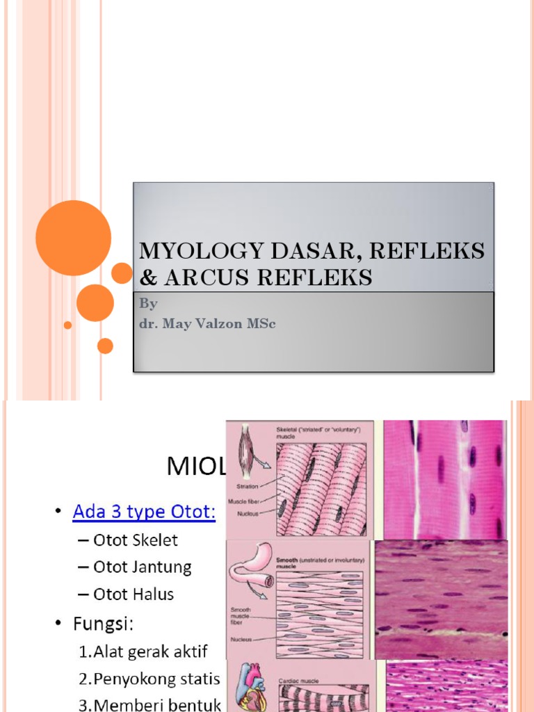 Reflexes and Knee Joint Anatomy | PDF | Knee | Dance Science