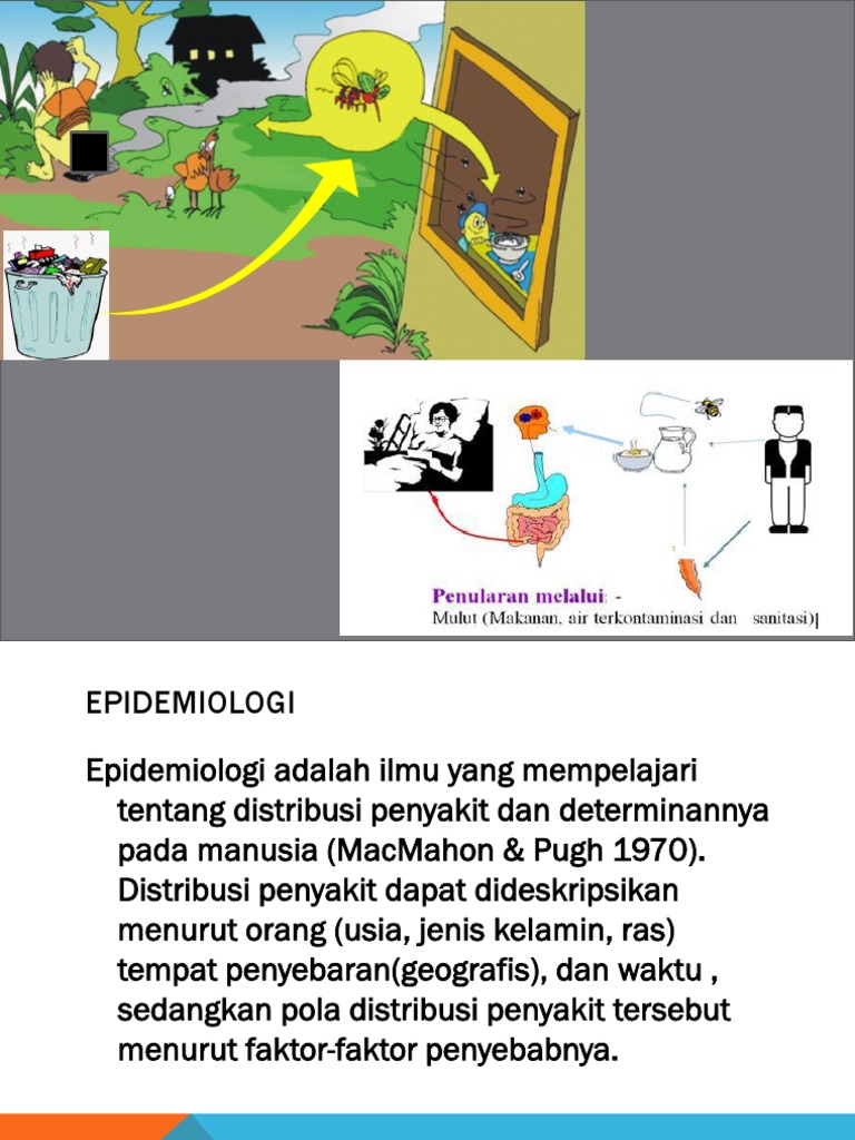 Jenis-Jenis Vektor Dan Penyakit | PDF